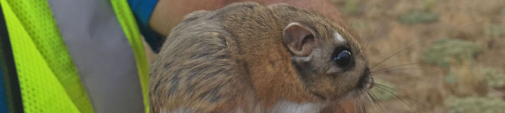 Conservation Biology Institute